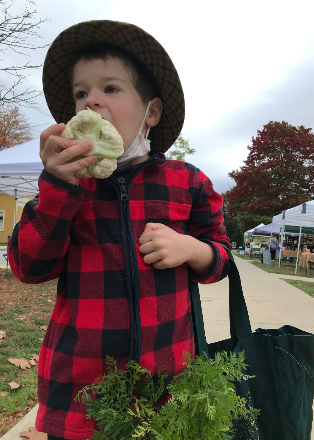 50+ Fall Family Activities - New England Family Life